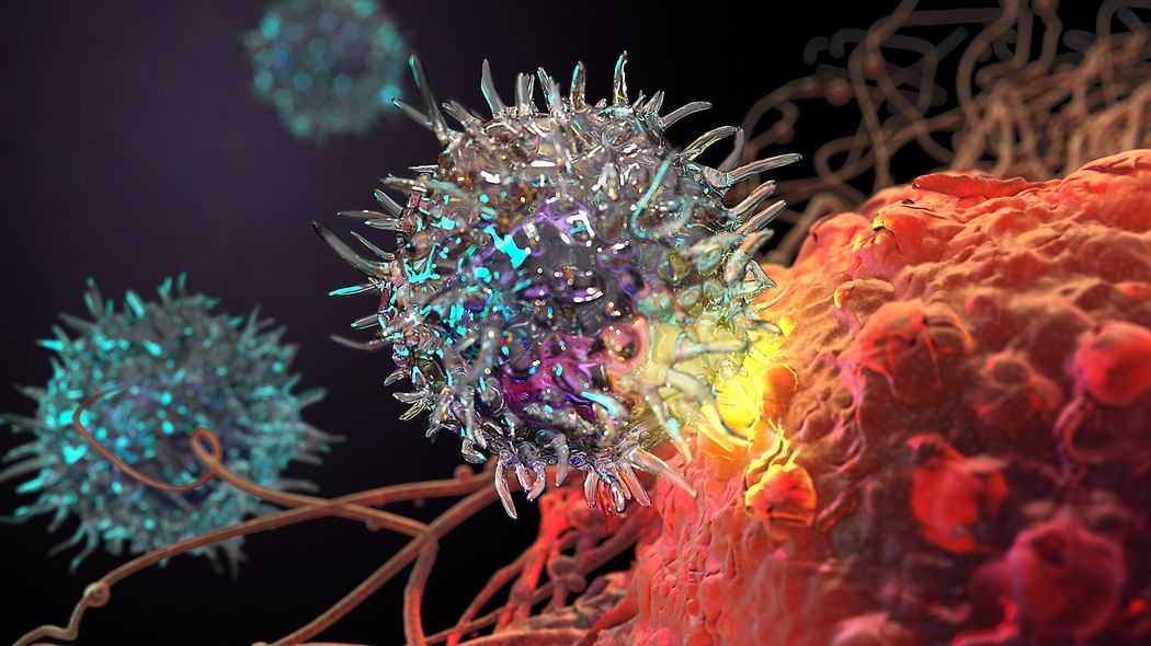 Biotest – Laboratory & Process Equipment